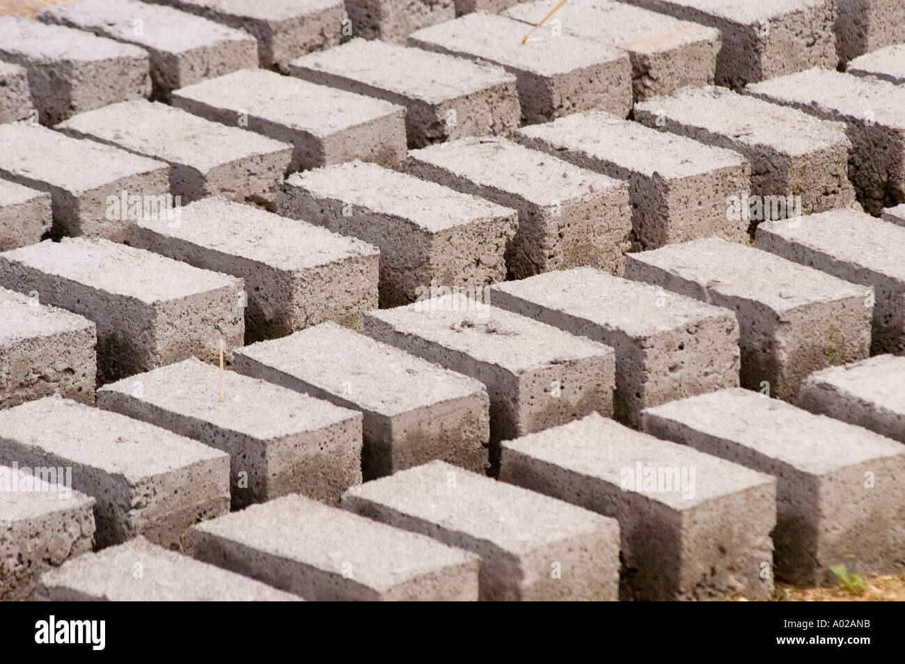 Mud brick drying on sun material for building Ladakhi houses Alchi ...