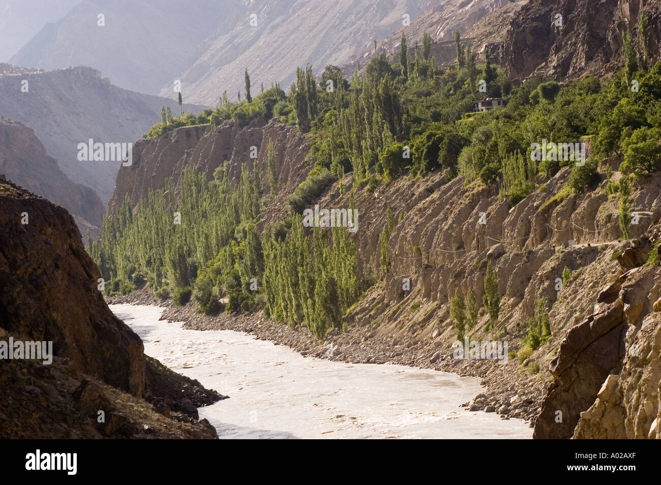 White water of Indus river with green poplar trees of Dha Hanu village ...