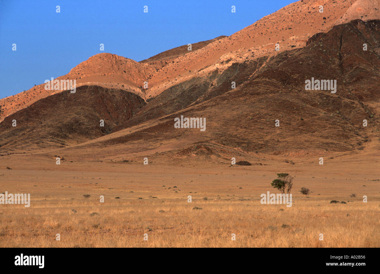 Grass and mountain in Namib desert Namibia 2000 Stock Photo - Alamy