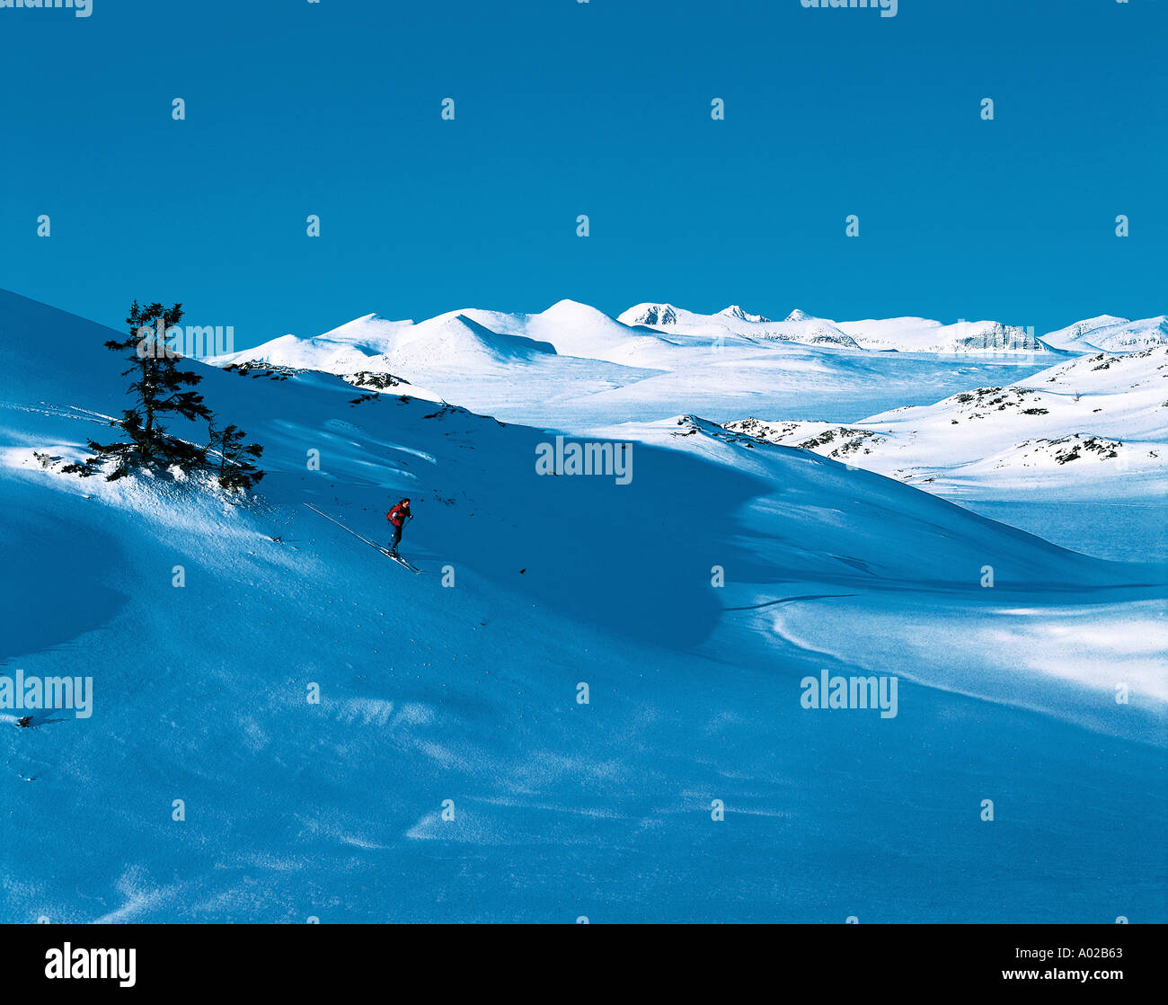 Winter in Rondane nationalpark Stock Photo - Alamy