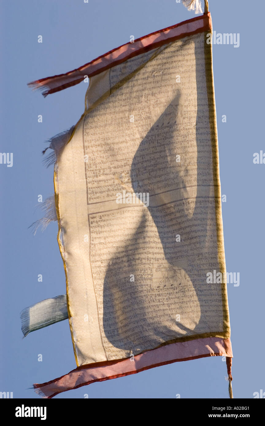 Buddhist prayer flag with blue skyin Dha Hanu village site of Dard or ...