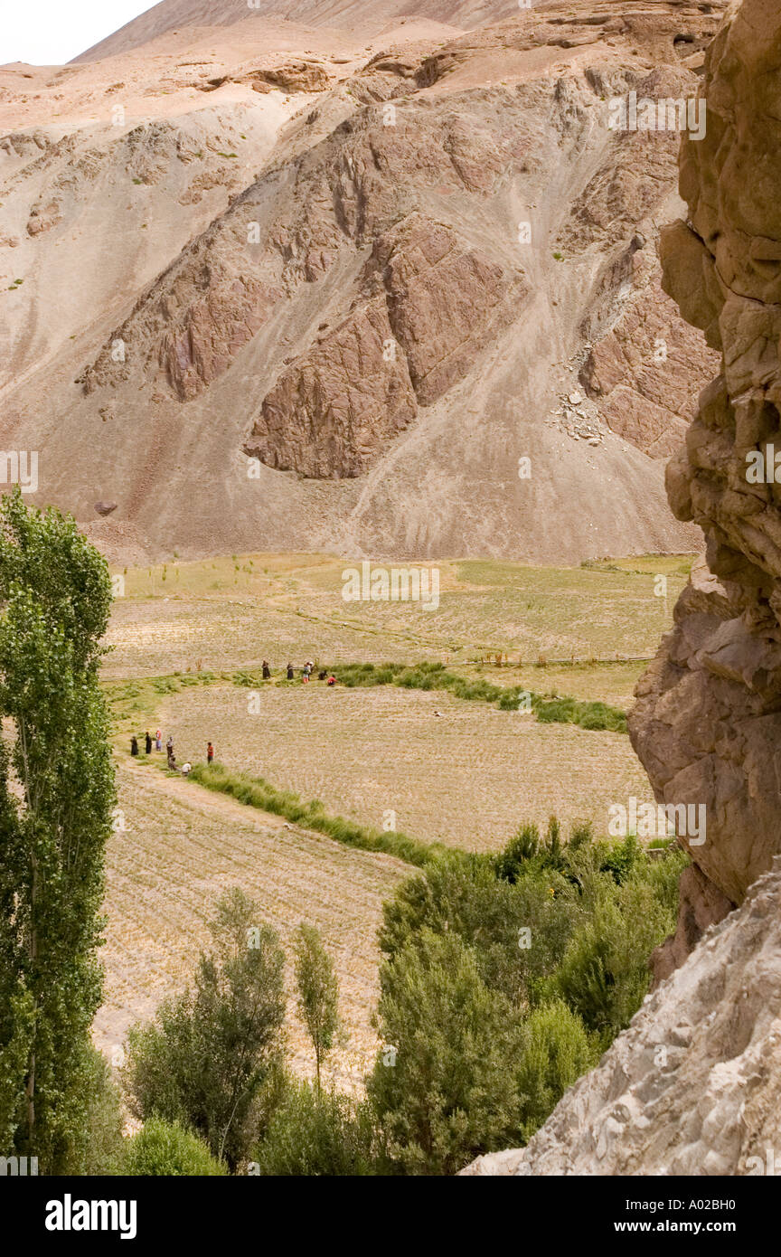Rocky mountains and farmers working in the field Alchi village Ladakh ...