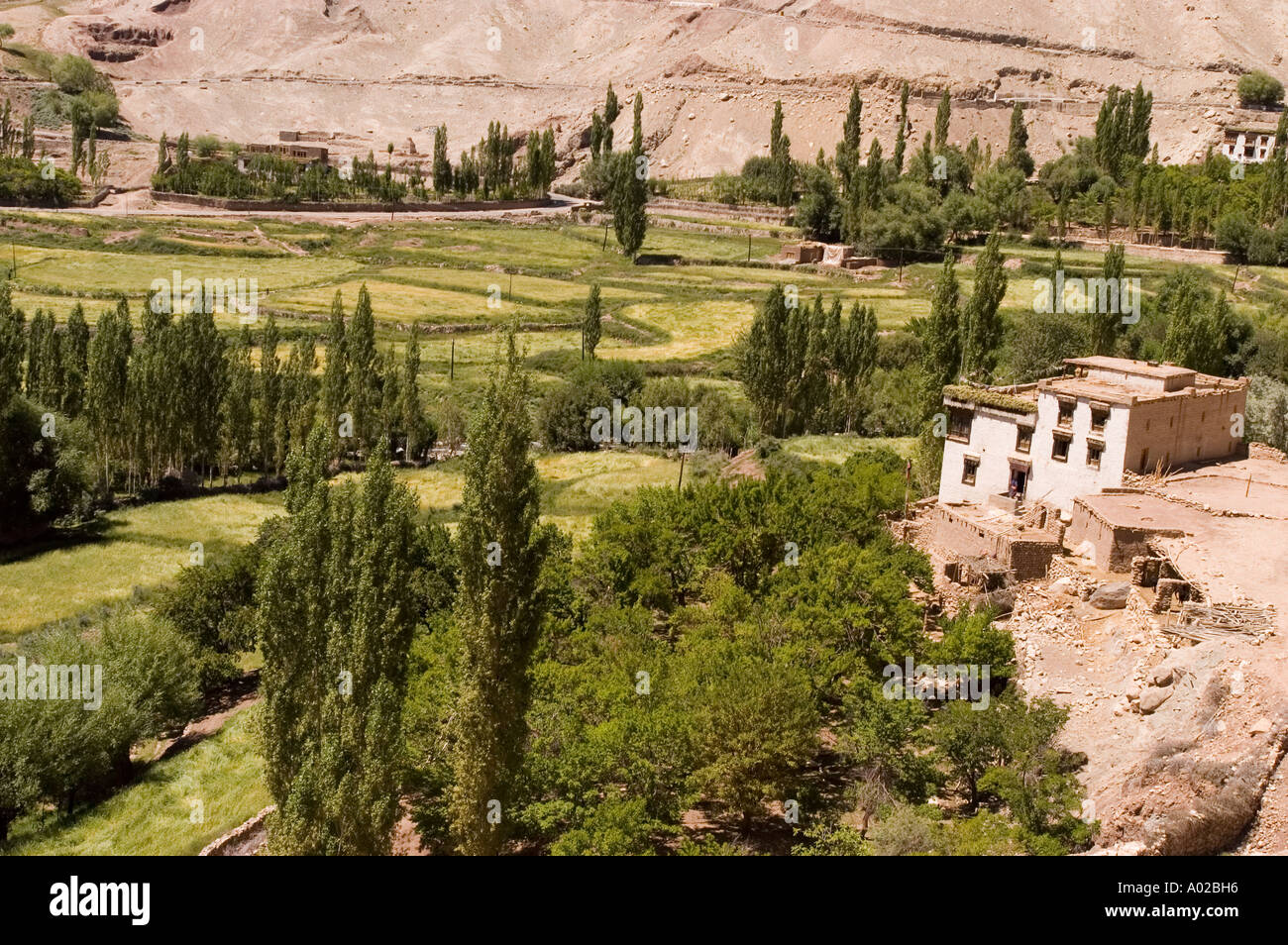 Green fields buildings and mountains in Basgo village Ladakh India ...