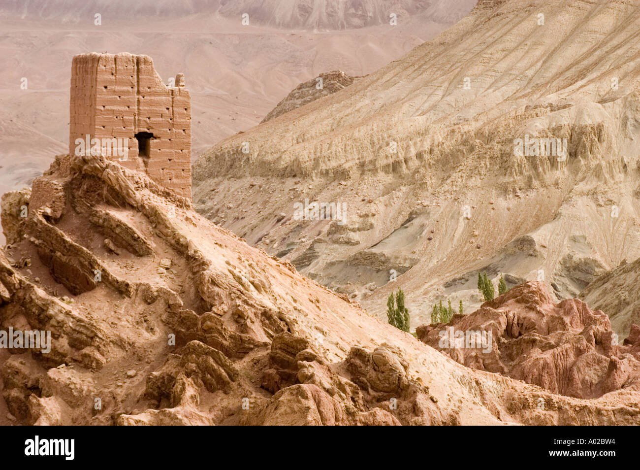 Ruins of Basgo Castle and monastery UNESCO World Heritage endangered ...