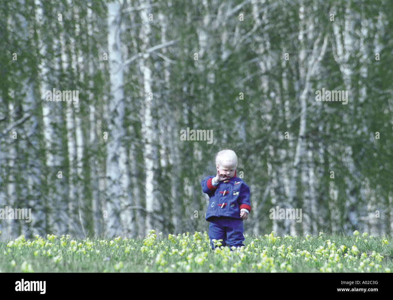 Boy walking up tree trunk hi-res stock photography and images - Alamy