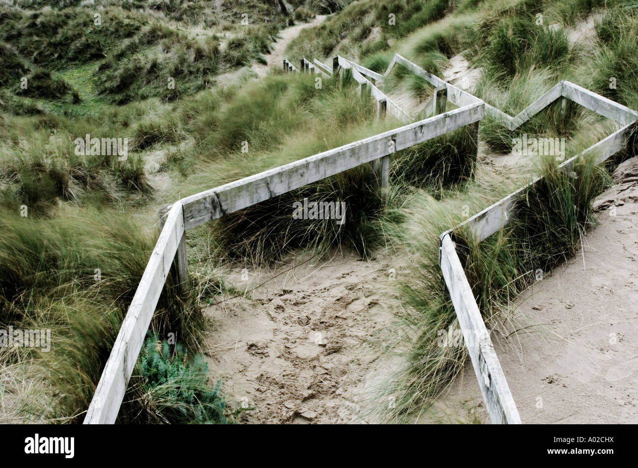 wooden boardwalk through the managed dunes Ynyslas nature reserve Borth ...