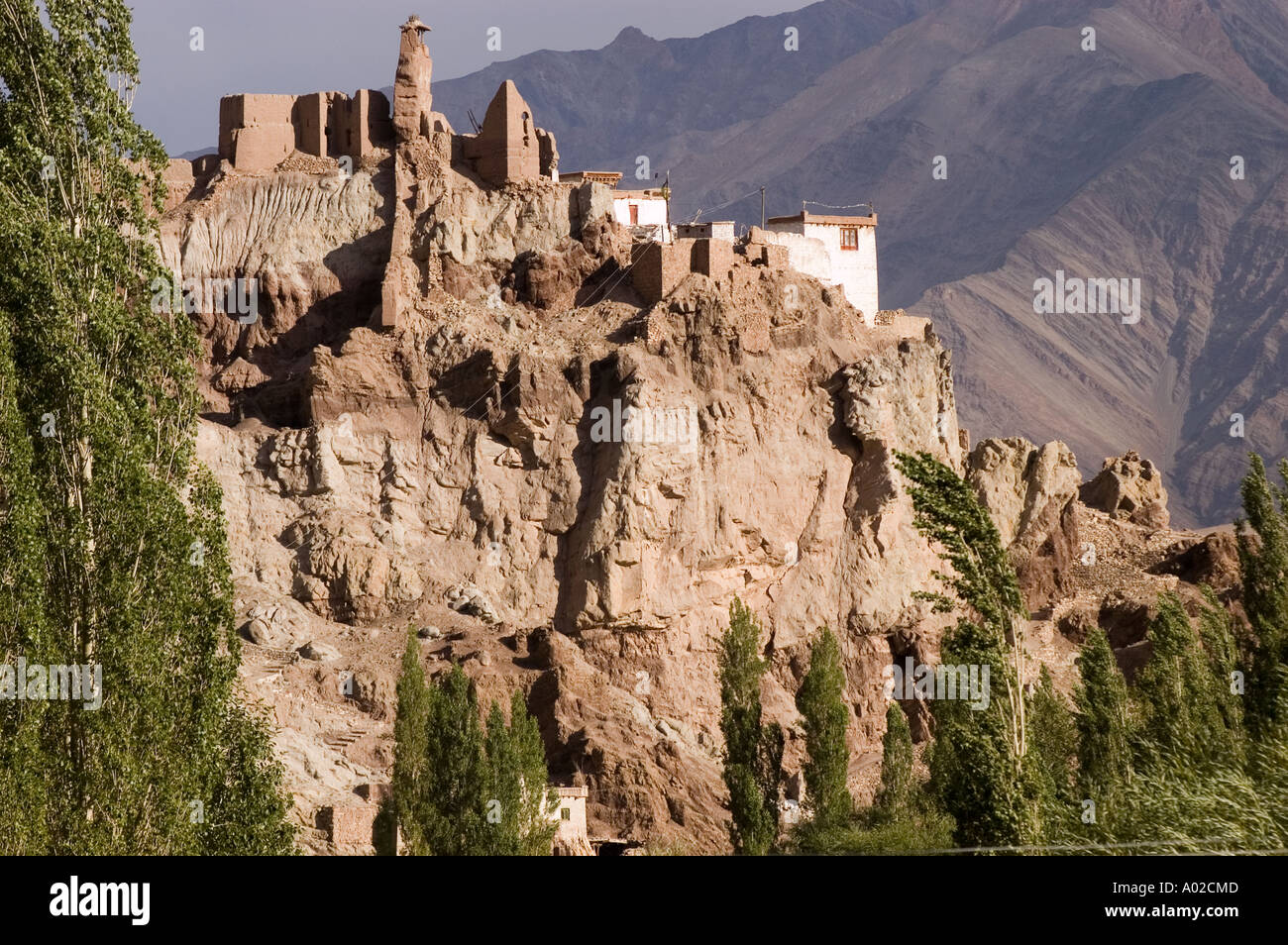 Ruins of Basgo Castle and monastery UNESCO World Heritage endangered ...