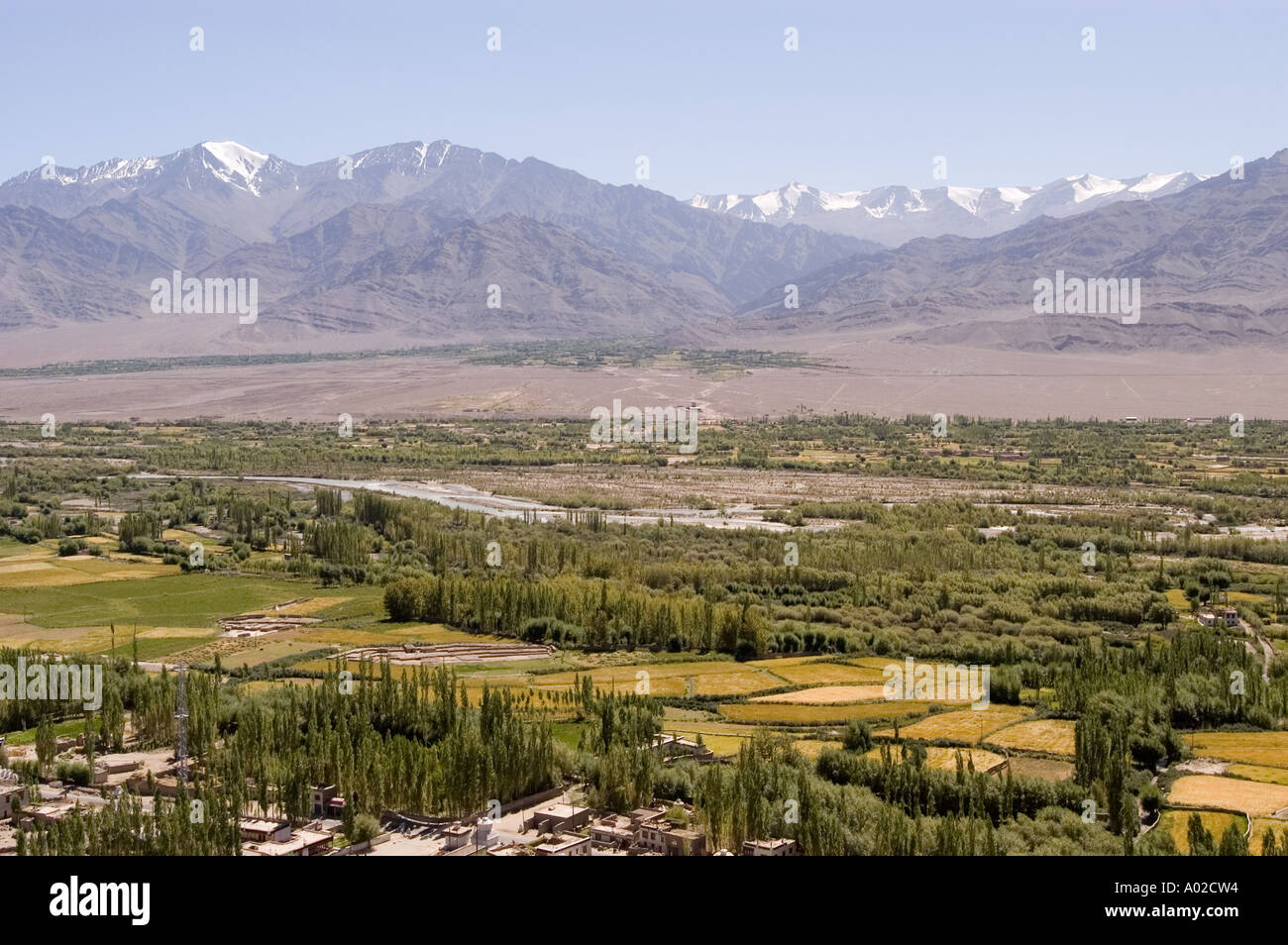 Green and yellow barley fields of Indus river valley Zanskar Range seen ...