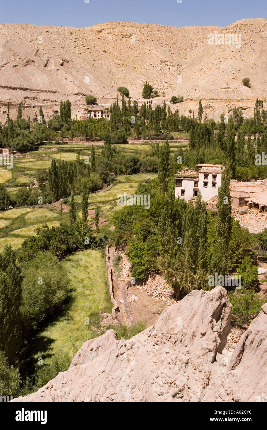 Green fields buildings and mountains in Basgo village Ladakh India ...