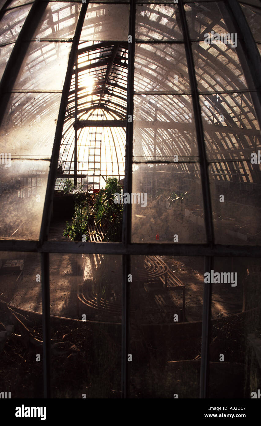 old greenhouse in northern italy Stock Photo - Alamy