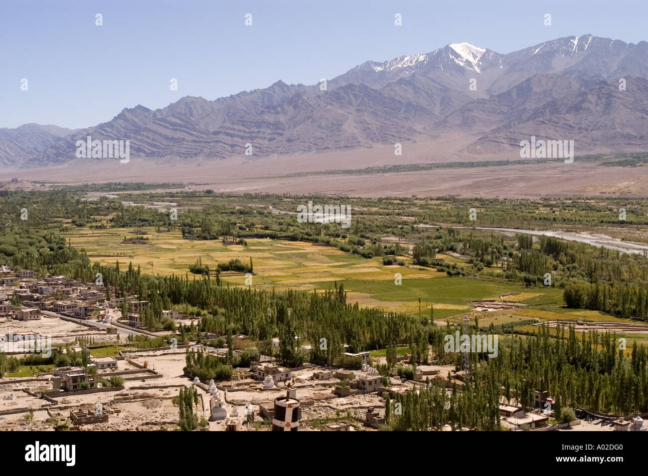 Green grass and barley fields of Indus valley and Zanskar Range ...