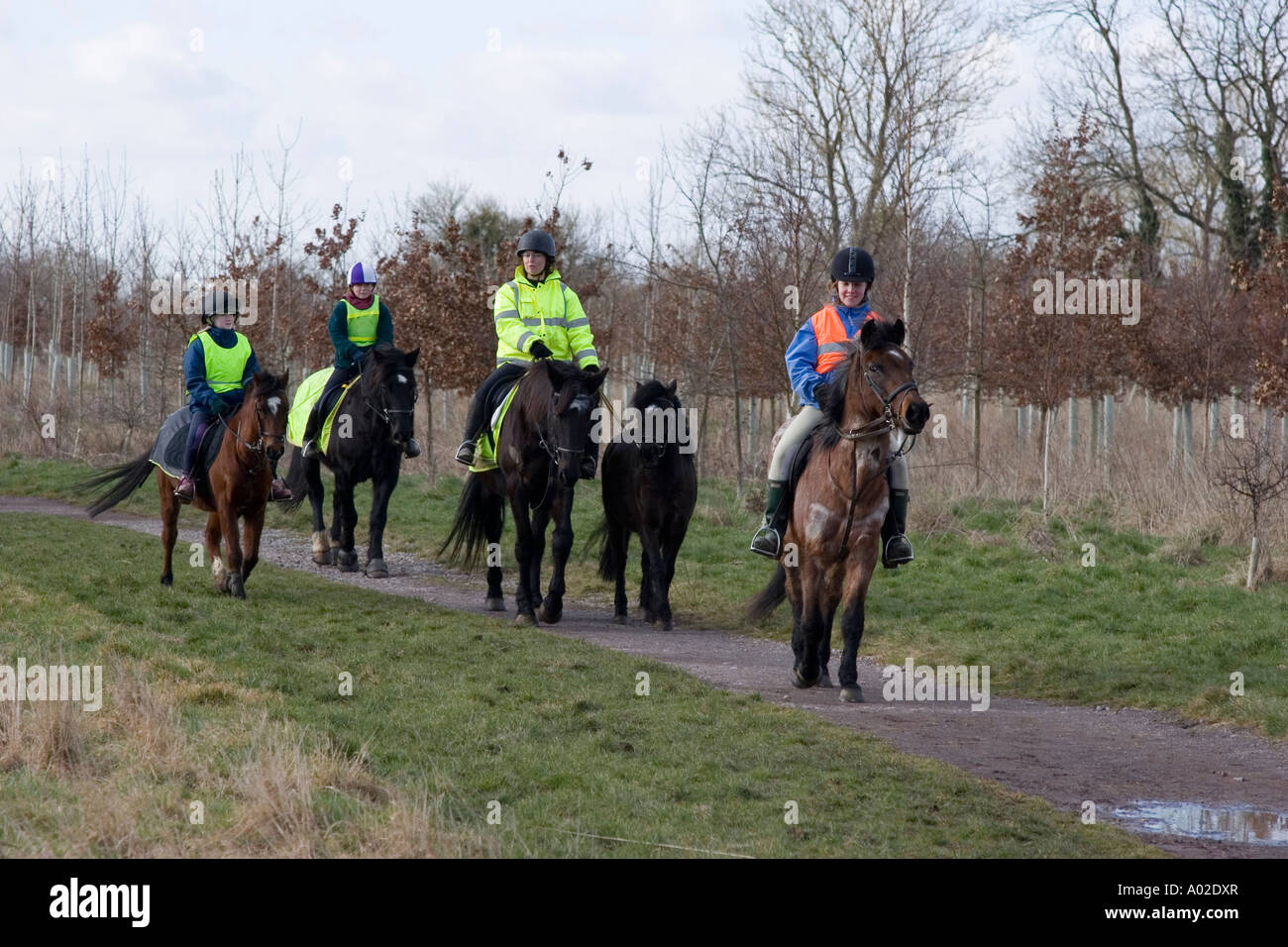 Horses and riders on a bridleway Stock Photo - Alamy