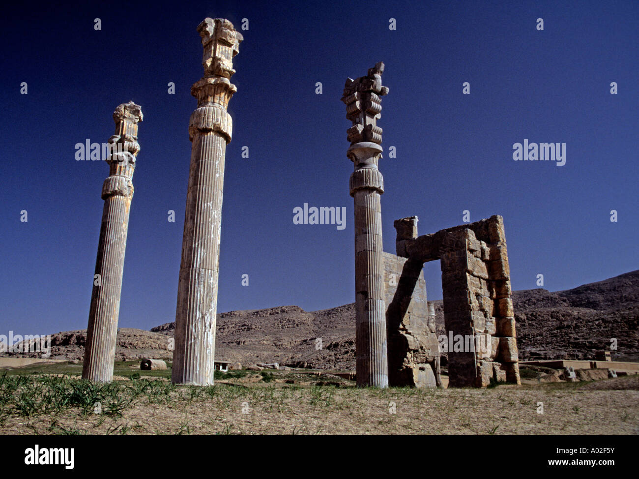 Huge pillars at Persepolis, ancient capital city of the Persian Empire ...