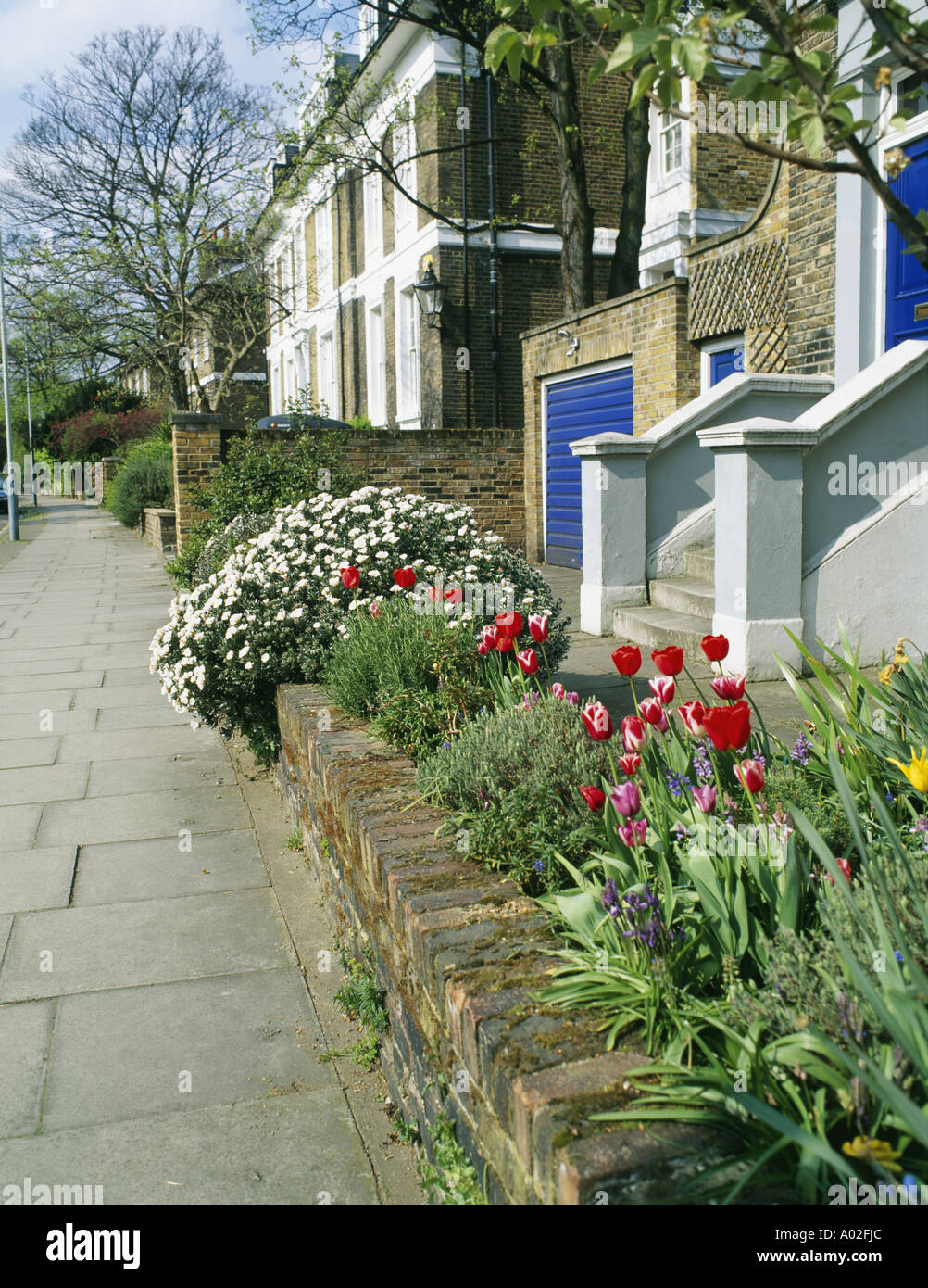 Narrow garden border hi-res stock photography and images - Alamy