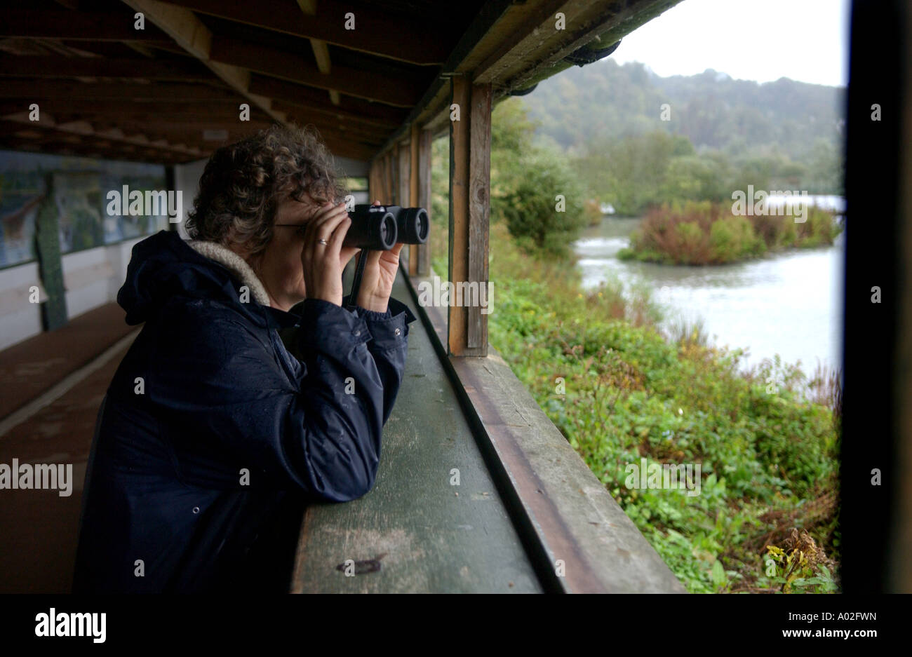 A woman birdwatching at Arundel Wildfowl and Wetlands Centre Stock ...