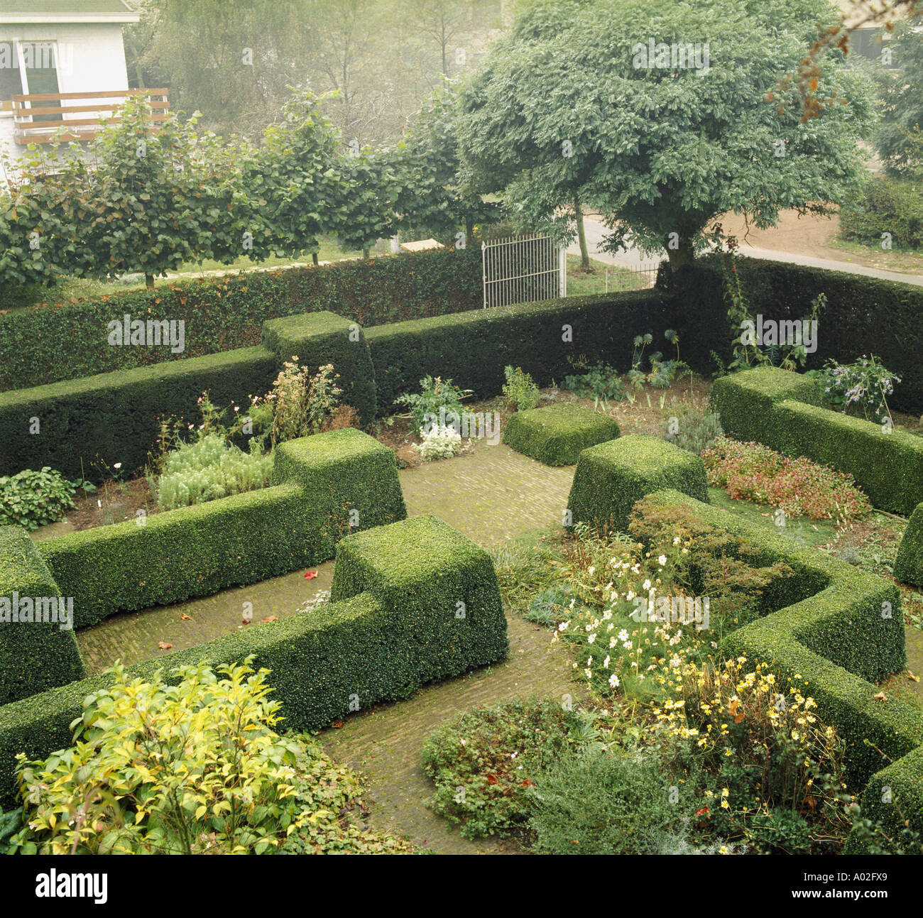 Clipped hedges and gravel paths in formal townhouse garden in early ...