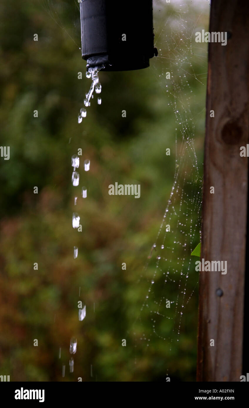 Dripping water from a downpipe UK Stock Photo - Alamy