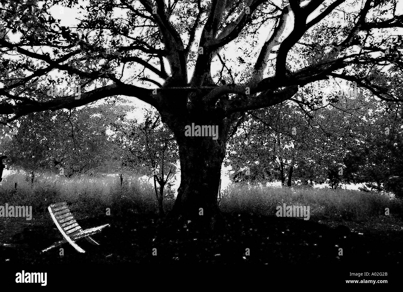 Under chair Black and White Stock Photos & Images - Alamy
