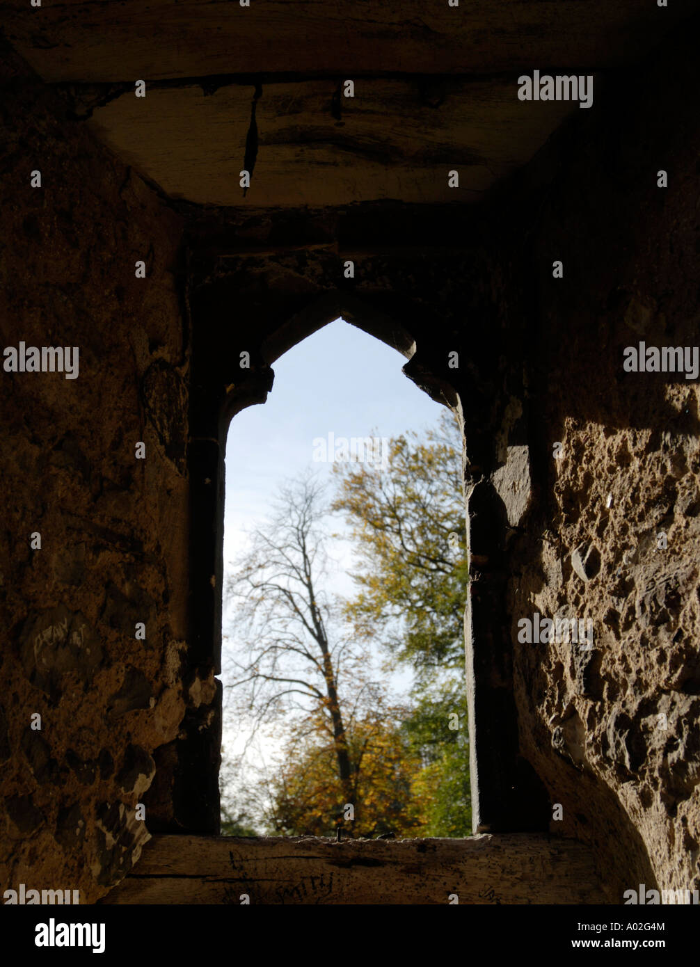 Abbey ruins window hi-res stock photography and images - Alamy