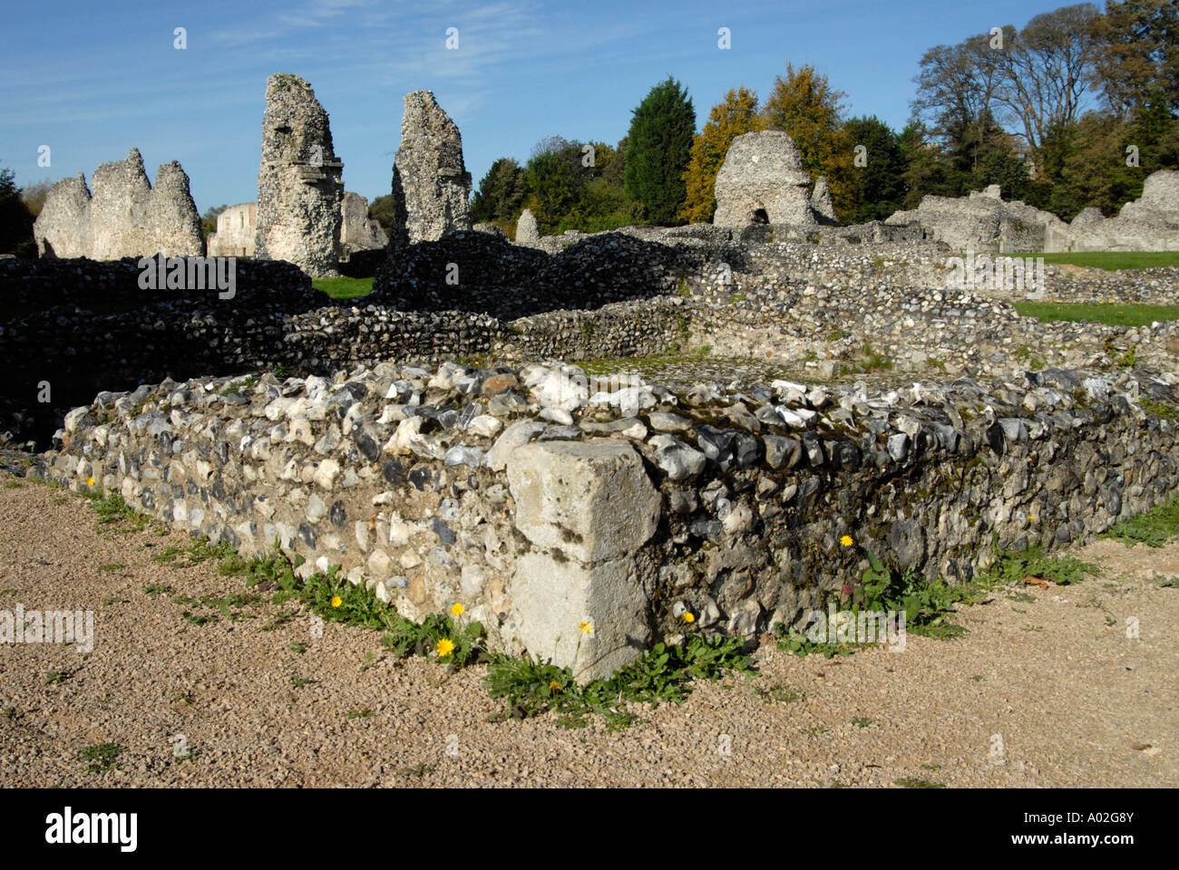 Cluniac Priory ruins Thetford Norfolk UK Stock Photo - Alamy