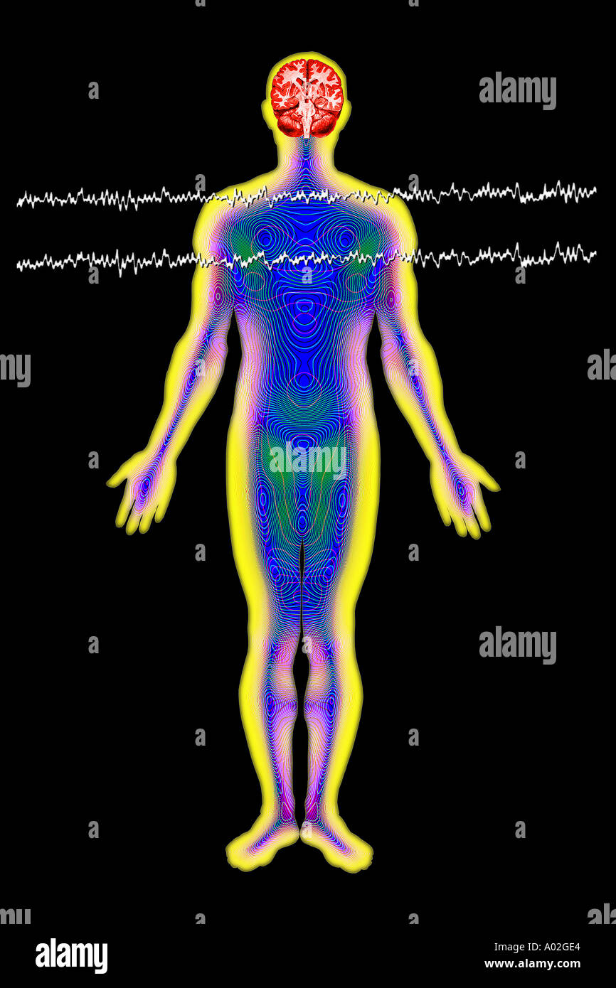 Illustration of human body and brain scan Stock Photo - Alamy