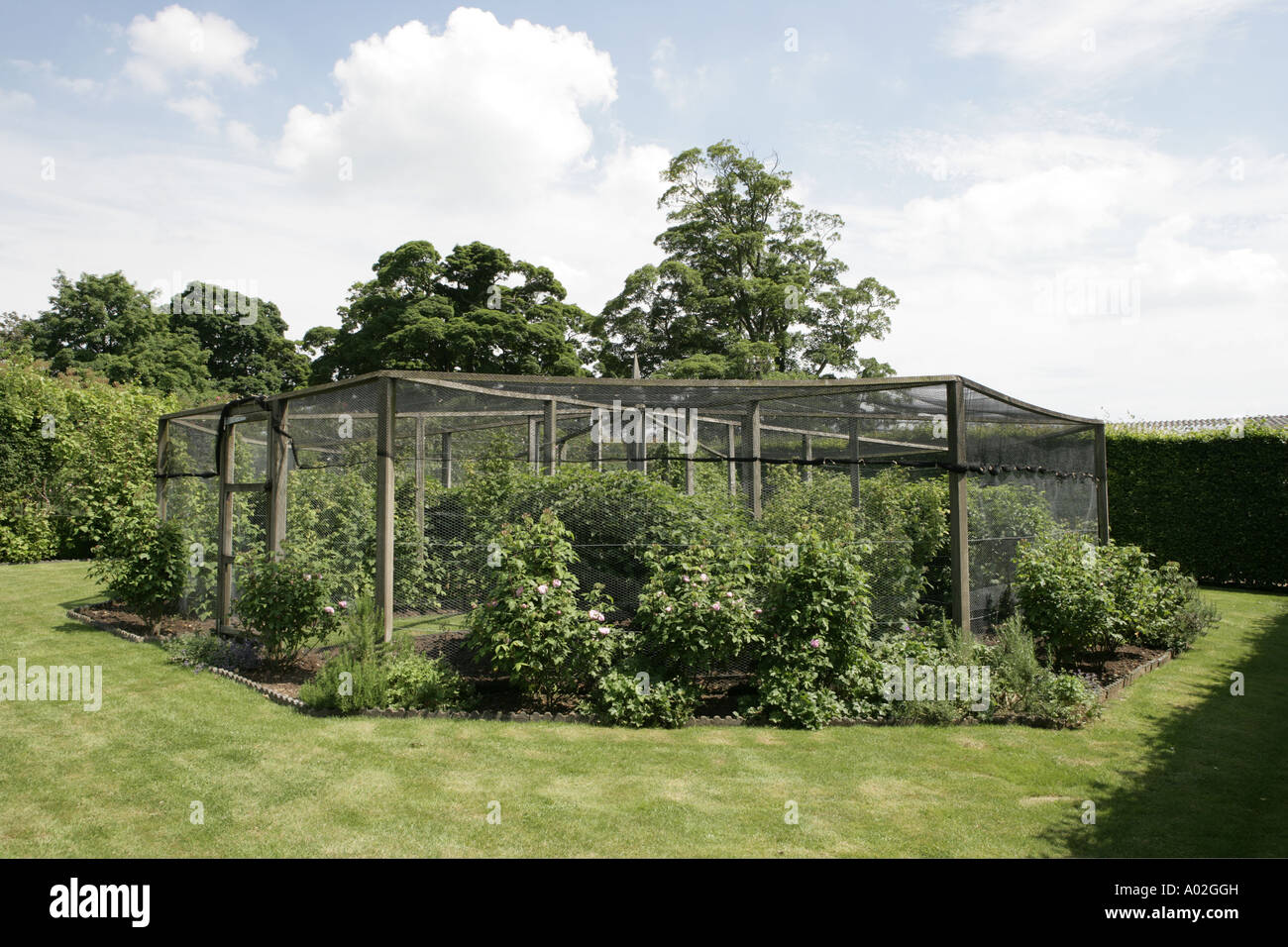 The fruit cage at Stowell Park is a magnificent house with lawned ...