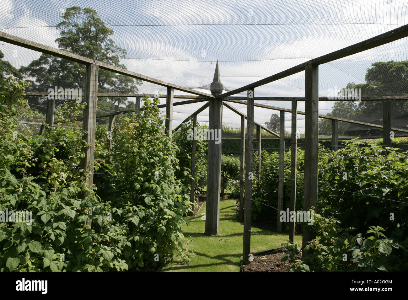 The fruit cage at Stowell Park is a magnificent house with lawned ...