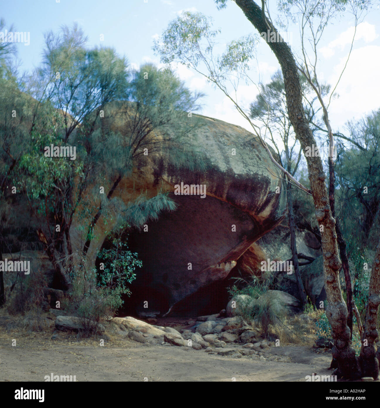 Hippos Yawn Rock Hyden Western Australia Stock Photo - Alamy