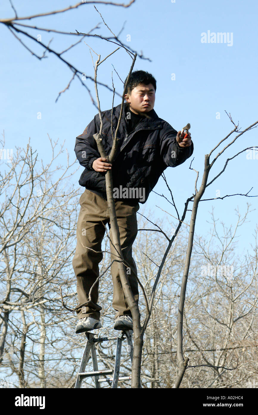 Beskara hi-res stock photography and images - Alamy