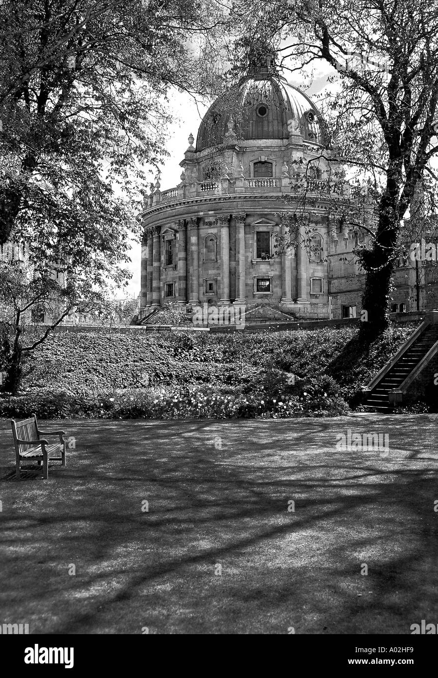 The Radcliffe Camera from Exeter College Stock Photo - Alamy