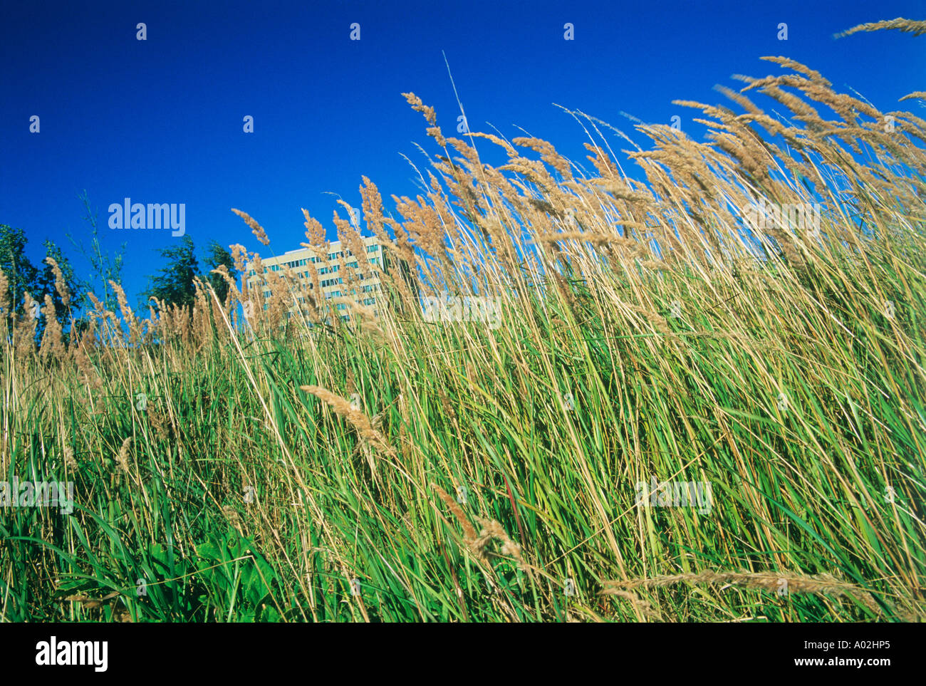 Moving to afterlife hi-res stock photography and images - Alamy