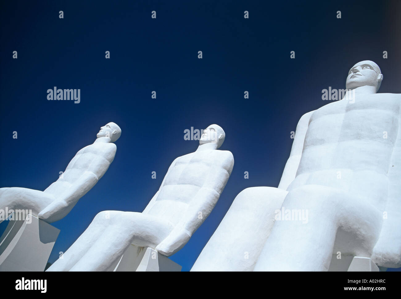 Skinhead muscular hi-res stock photography and images - Alamy