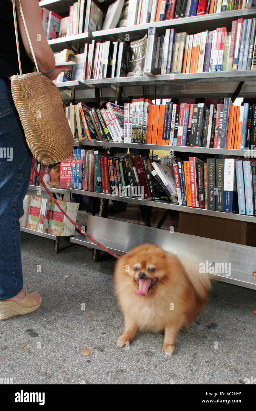School fair dogs hi-res stock photography and images - Alamy