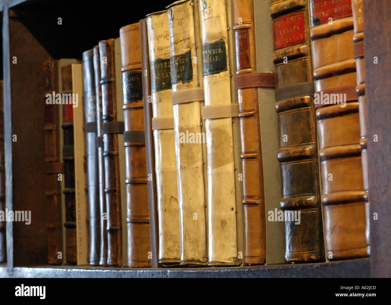 Books in Duke Humfreys in The Bodleian Library Stock Photo - Alamy