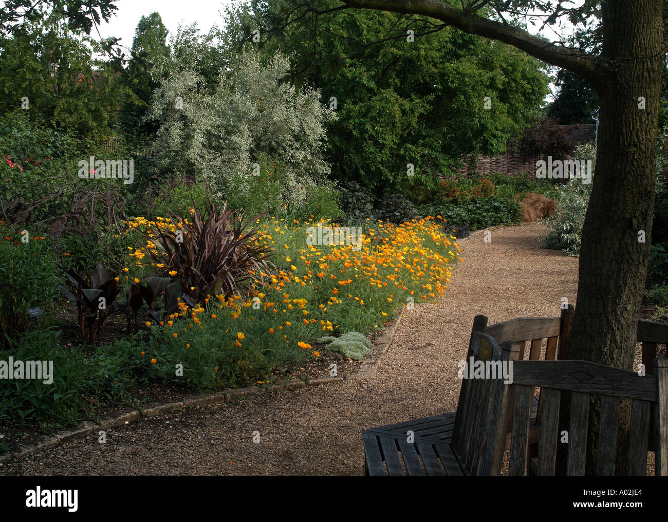 View over The Botanic Garden Oxford Stock Photo - Alamy