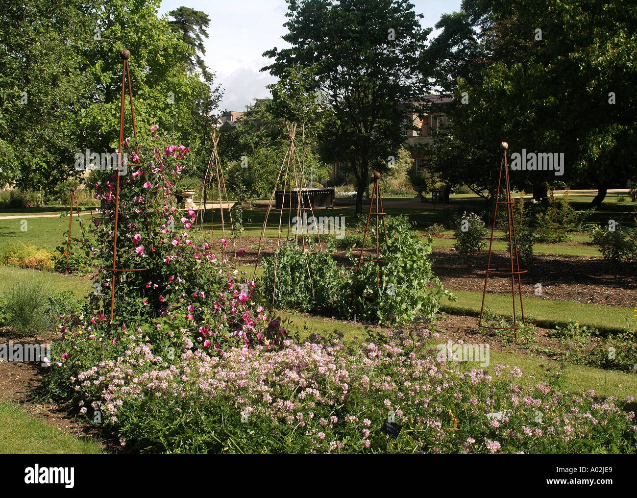 View over The Botanic Garden Oxford Stock Photo - Alamy