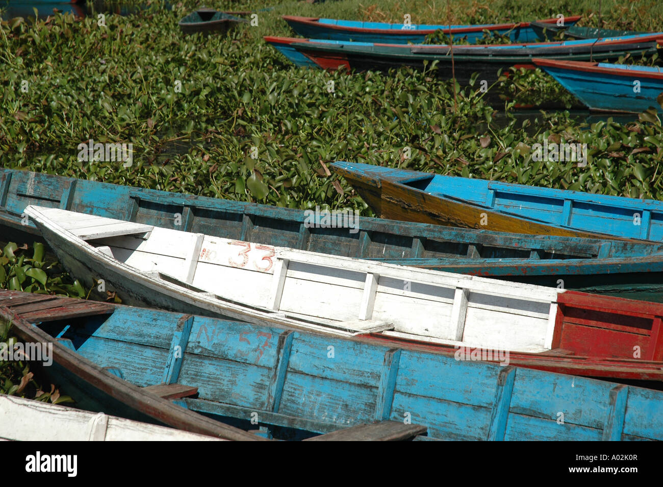 Shores of phewa lake hi-res stock photography and images - Alamy