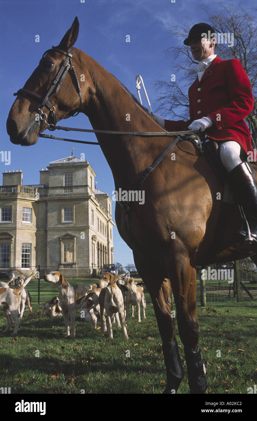 Huntsman at a December hunt in South Somerset Stock Photo - Alamy