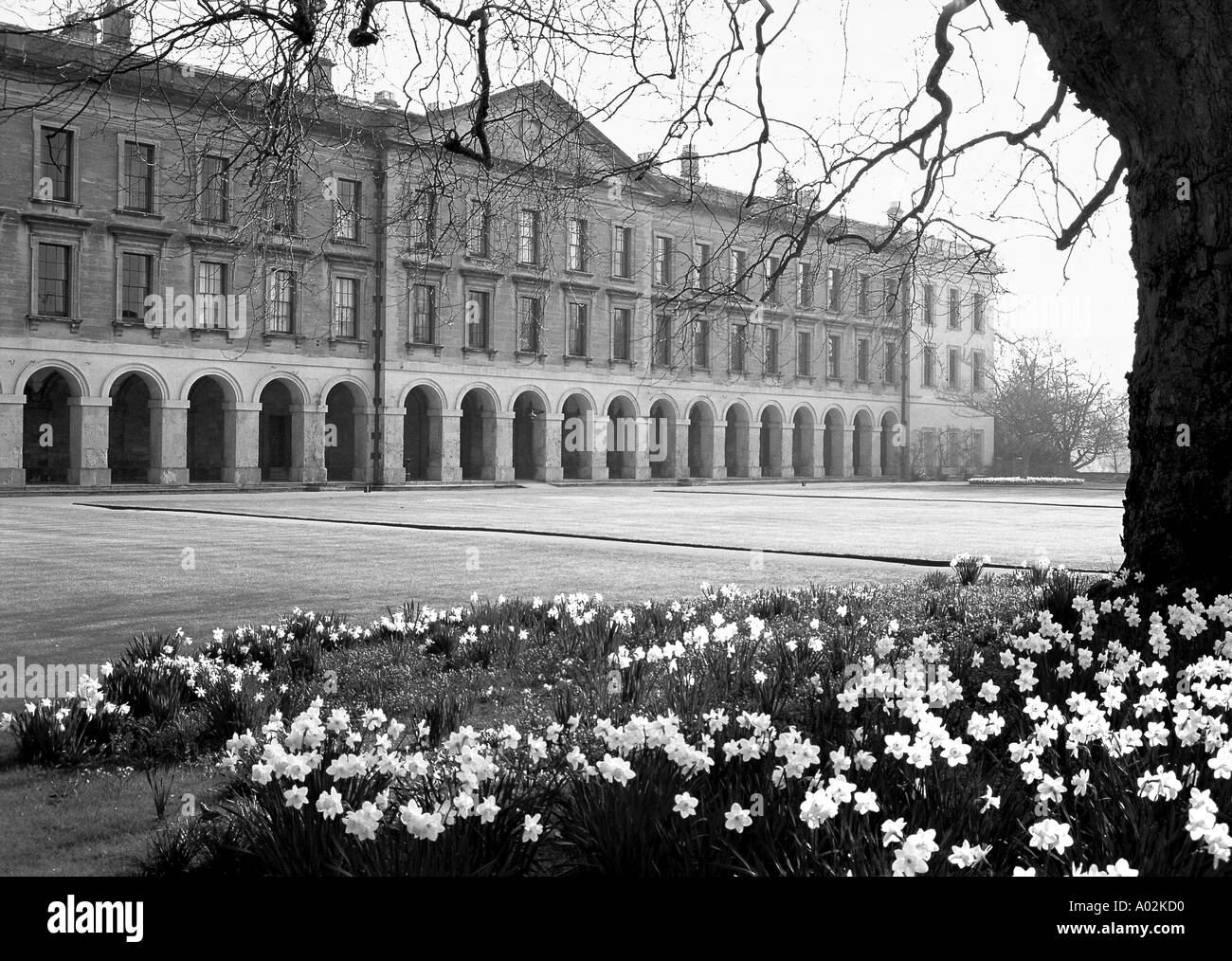 The New Buildings at spring time Stock Photo - Alamy