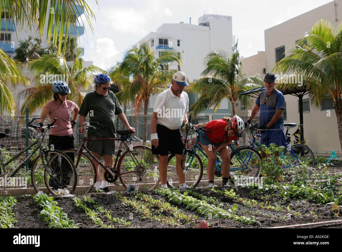 Miami Beach Florida,Collins Avenue,Victory Garden,community,bicycle ...