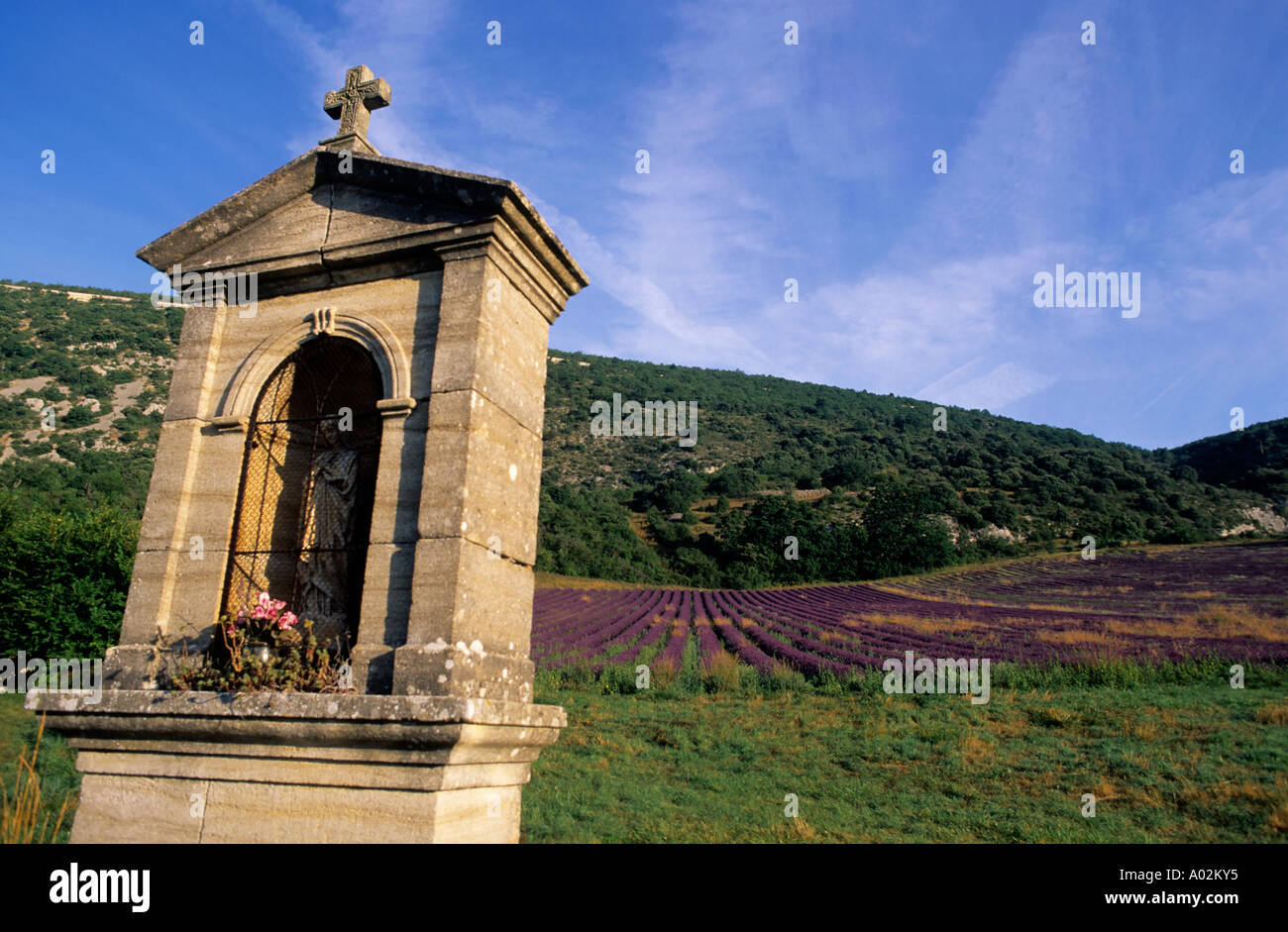 Virgin Mary statue on an altar in the middle of a lavender field near ...