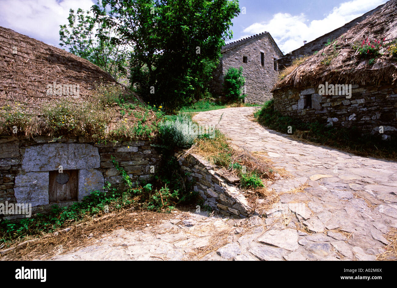 Old Celtic Style source houses (aka "Pallozas"). O Cebreiro. Lugo ...
