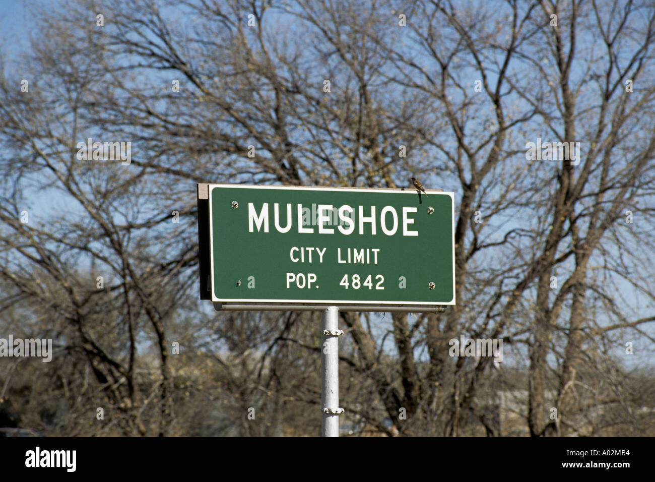 Muleshoe Texas Highway Road Sign Stock Photo - Alamy