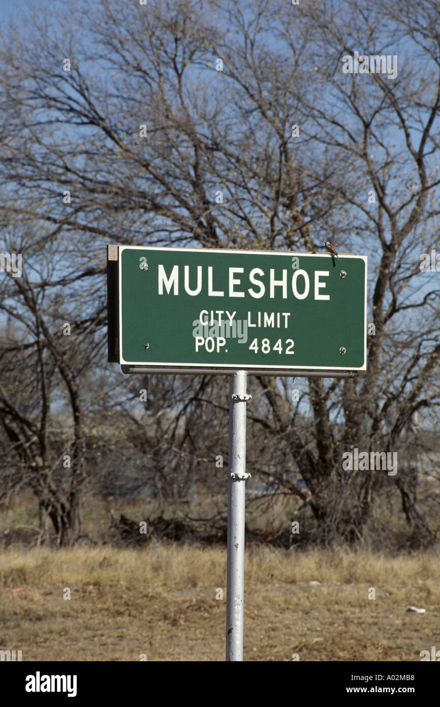 Muleshoe Texas Highway Road Sign Stock Photo - Alamy