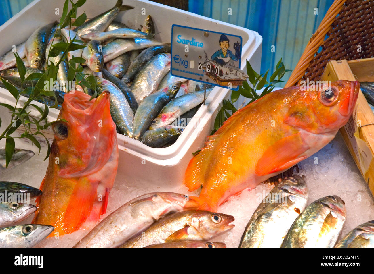 Fisch market france hi-res stock photography and images - Alamy