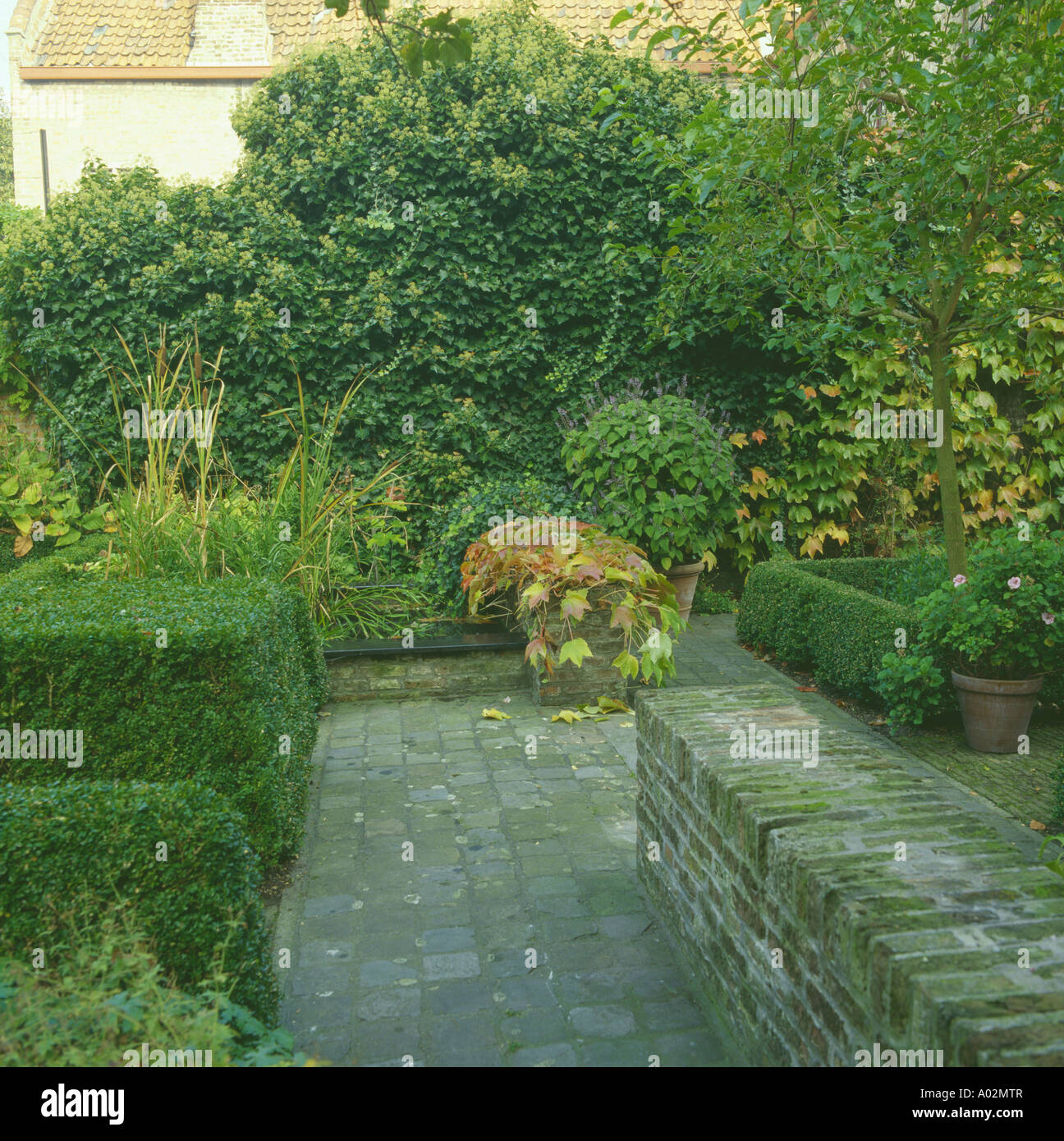 Paved path and low walls in small Autumn garden Stock Photo - Alamy
