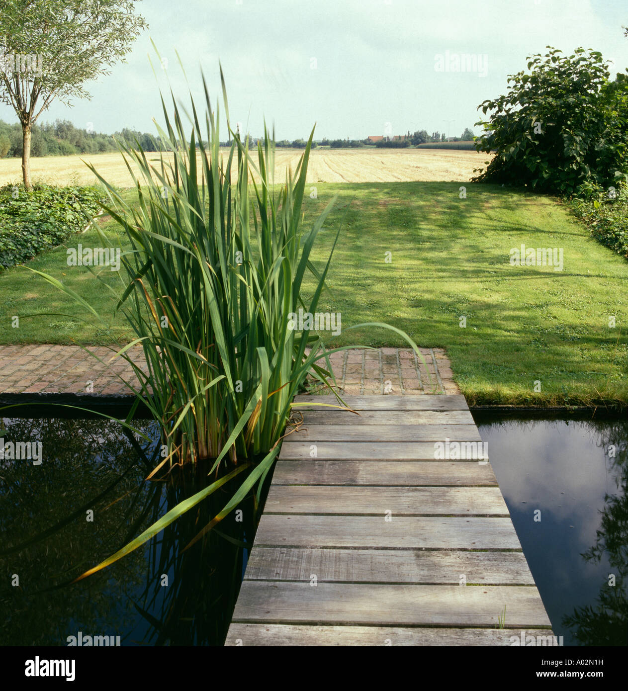 Grasses growing beside wooden decking path over pond to lawn with view ...