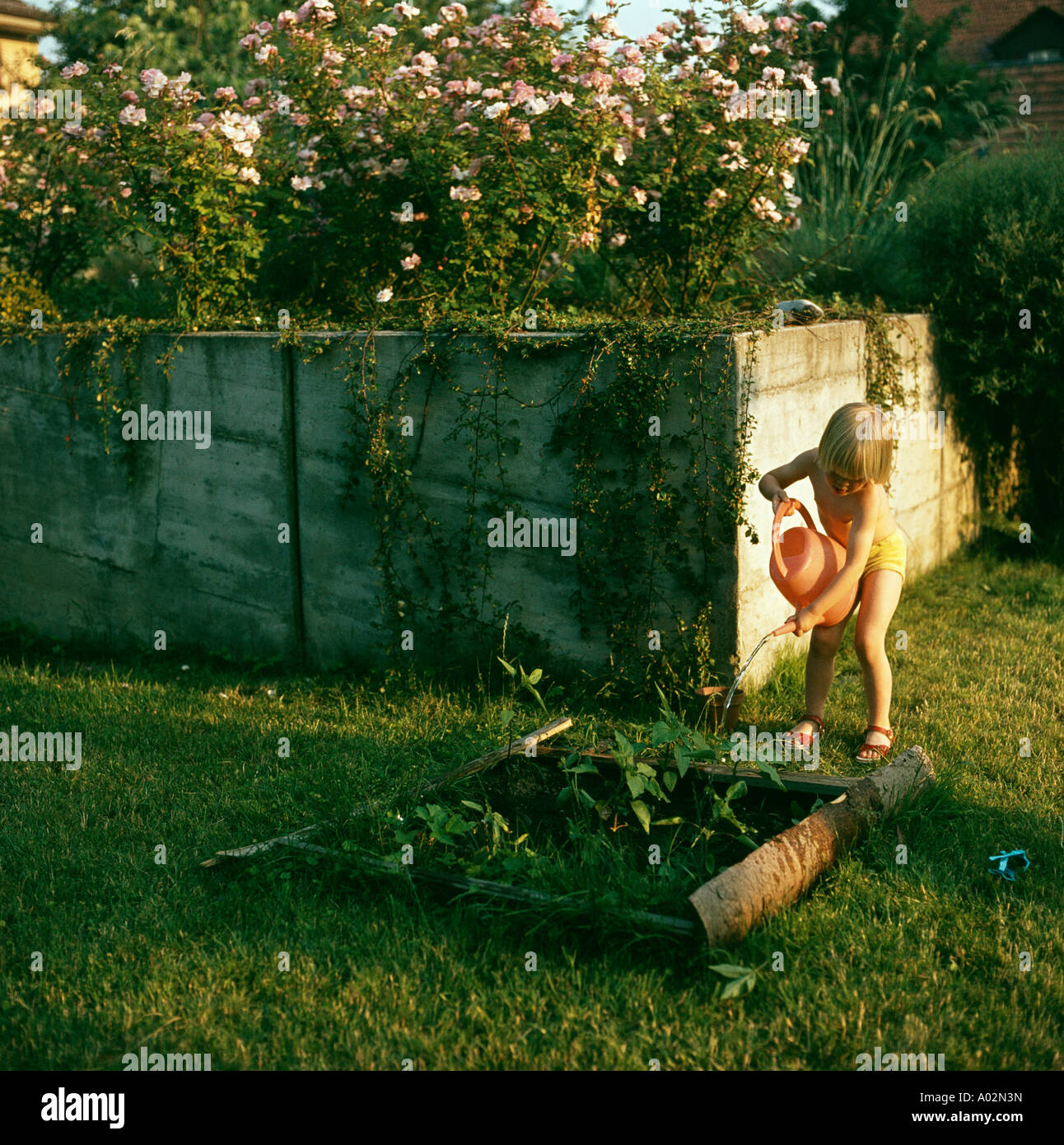 Small child watering plants in children's garden plot Stock Photo - Alamy