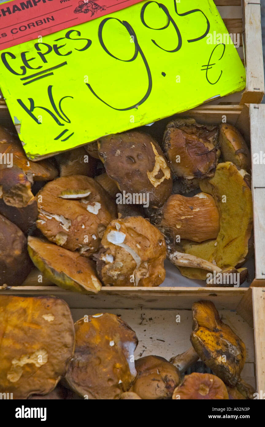 Parisian mushrooms hi-res stock photography and images - Alamy