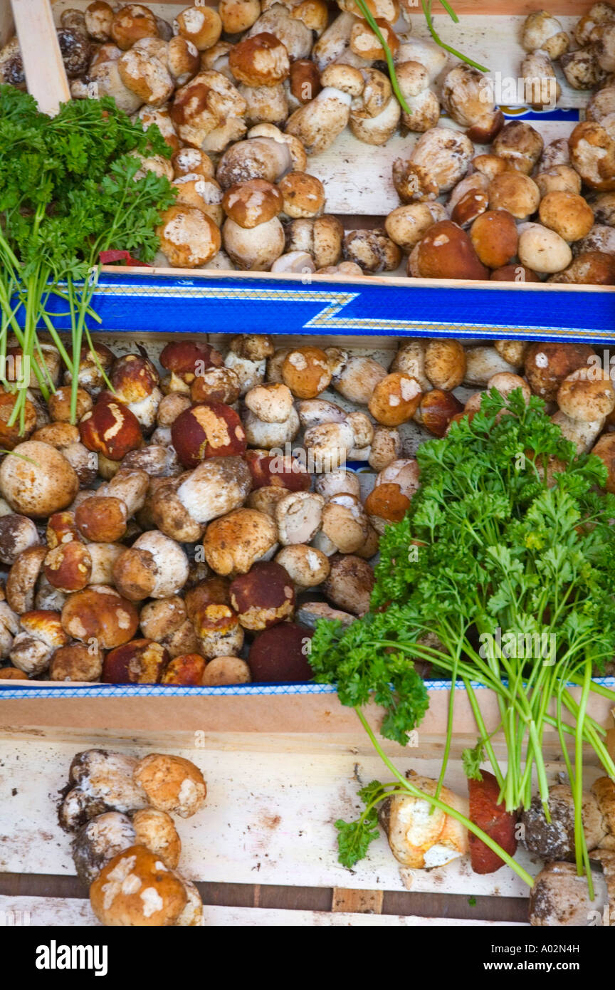 Paris mushrooms hi-res stock photography and images - Alamy